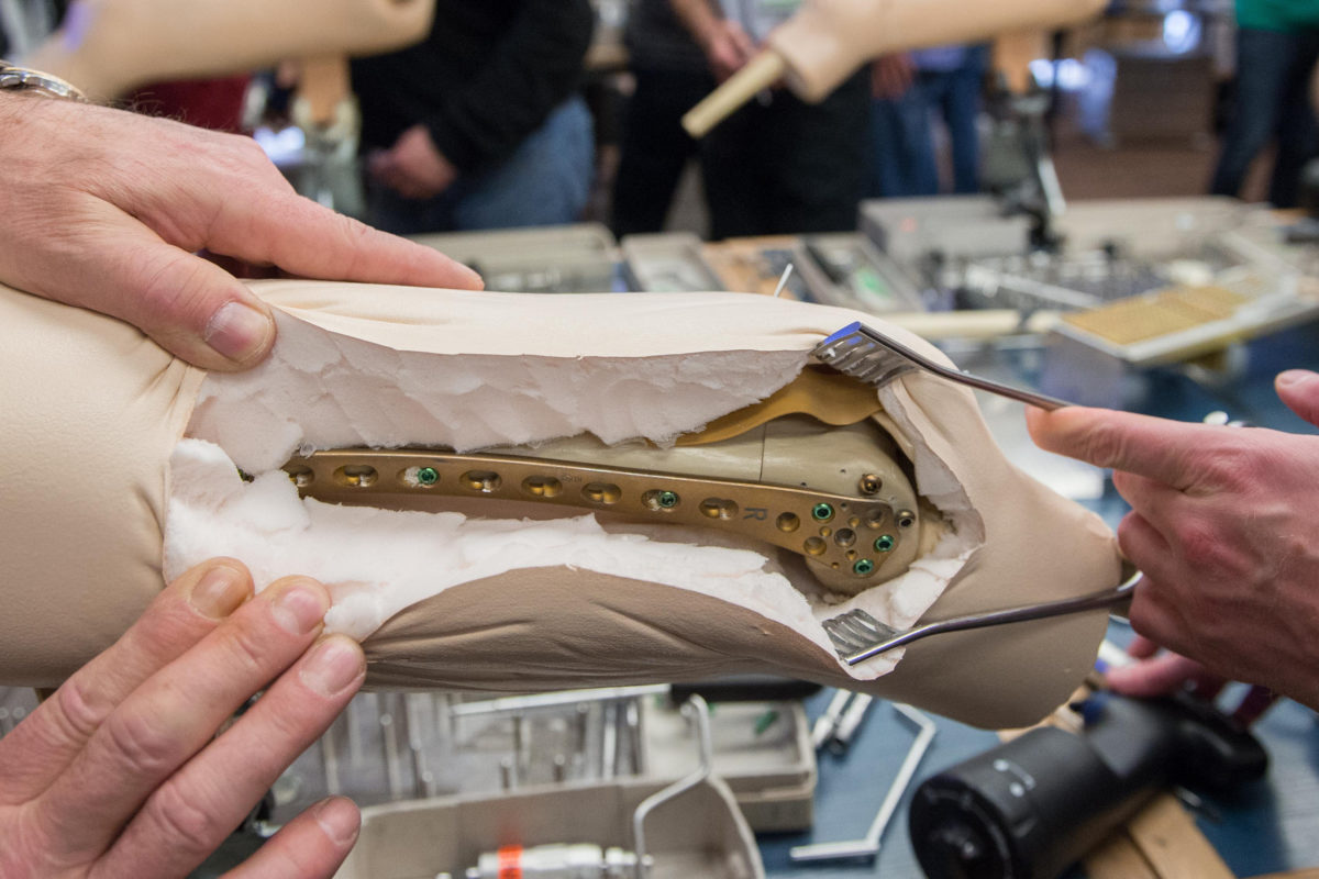 SYNBONE - Surgical education models for healthcare professionals