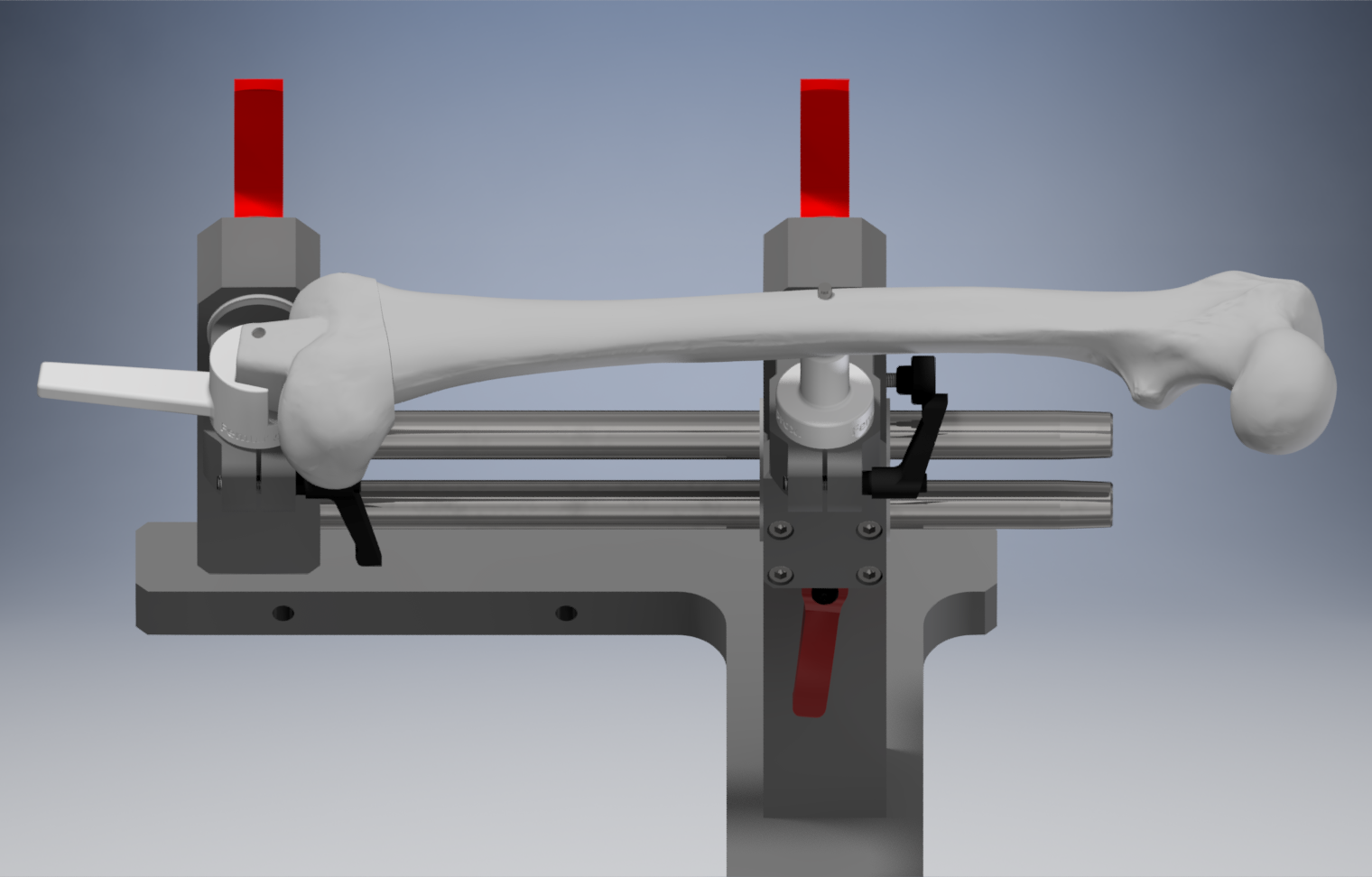SYNBONE - Holder systems for bone models / spines models / skulls