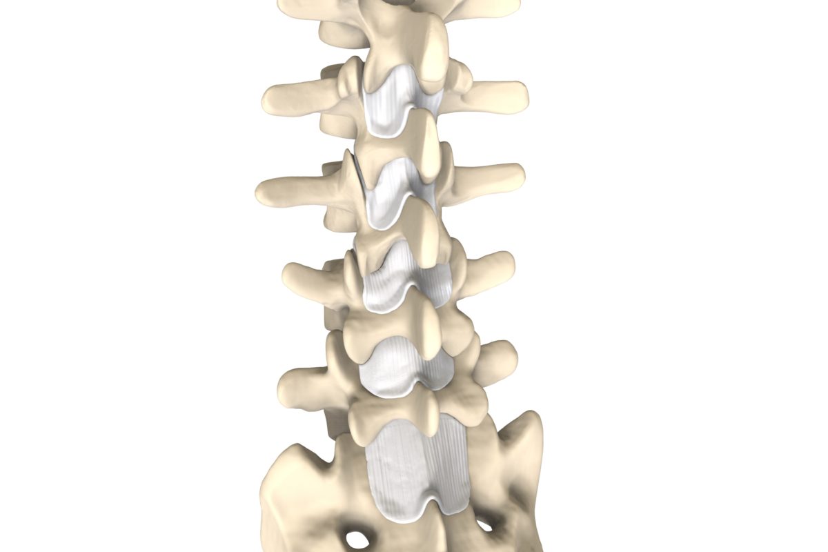 Orthopaedic Models - SYNBONE
