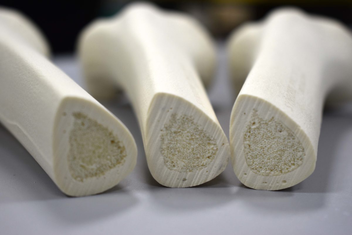 Bone Models - SYNBONE