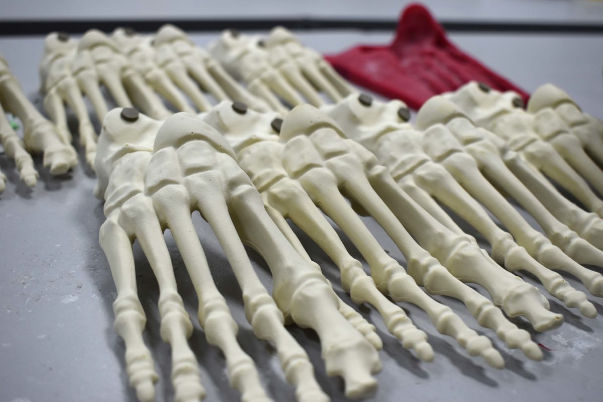 Bone Models - SYNBONE
