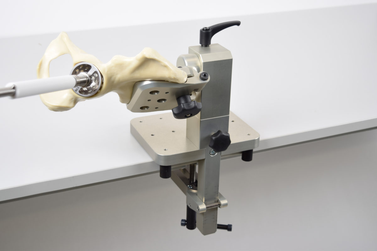 SYNBONE - Holder systems for bone models / spines models / skulls