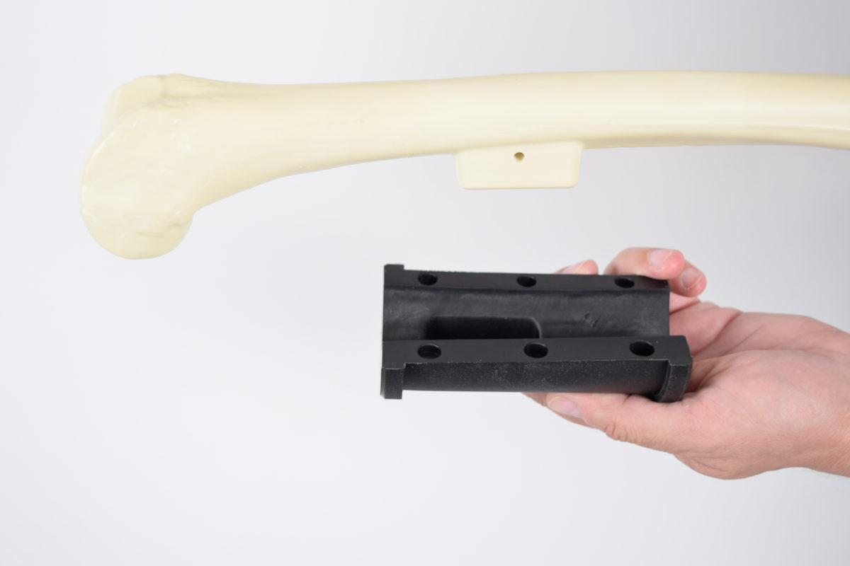 SYNBONE - Holder systems for bone models / spines models / skulls