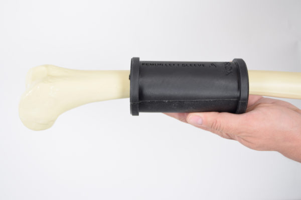 SYNBONE - Holder systems for bone models / spines models / skulls