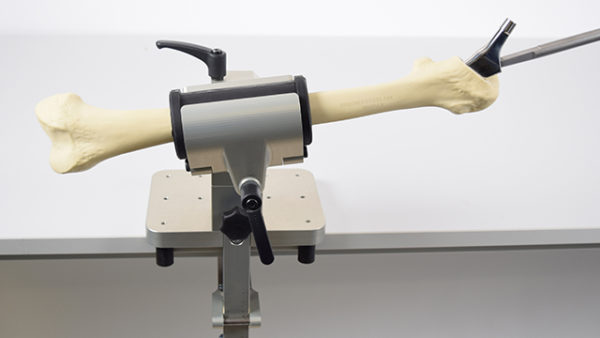 SYNBONE - Holder systems for bone models / spines models / skulls