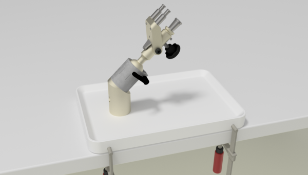 SYNBONE - Holder systems for bone models / spines models / skulls