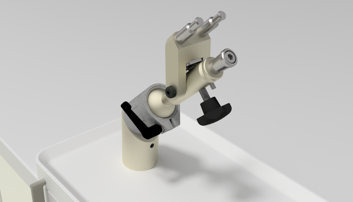 SYNBONE - Holder systems for bone models / spines models / skulls