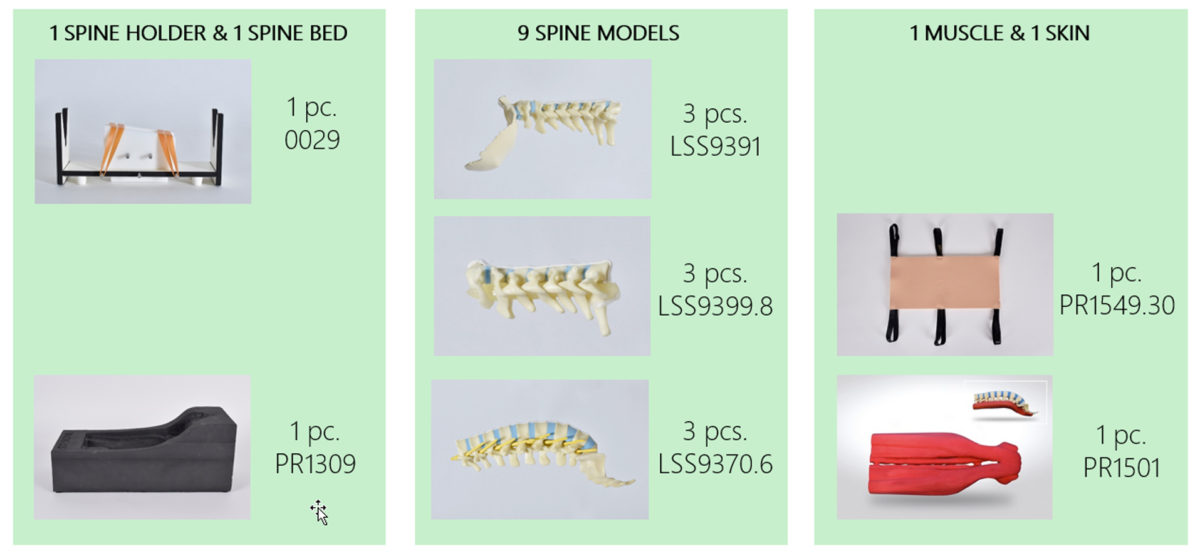 SPINE SPECIAL - SYNBONE