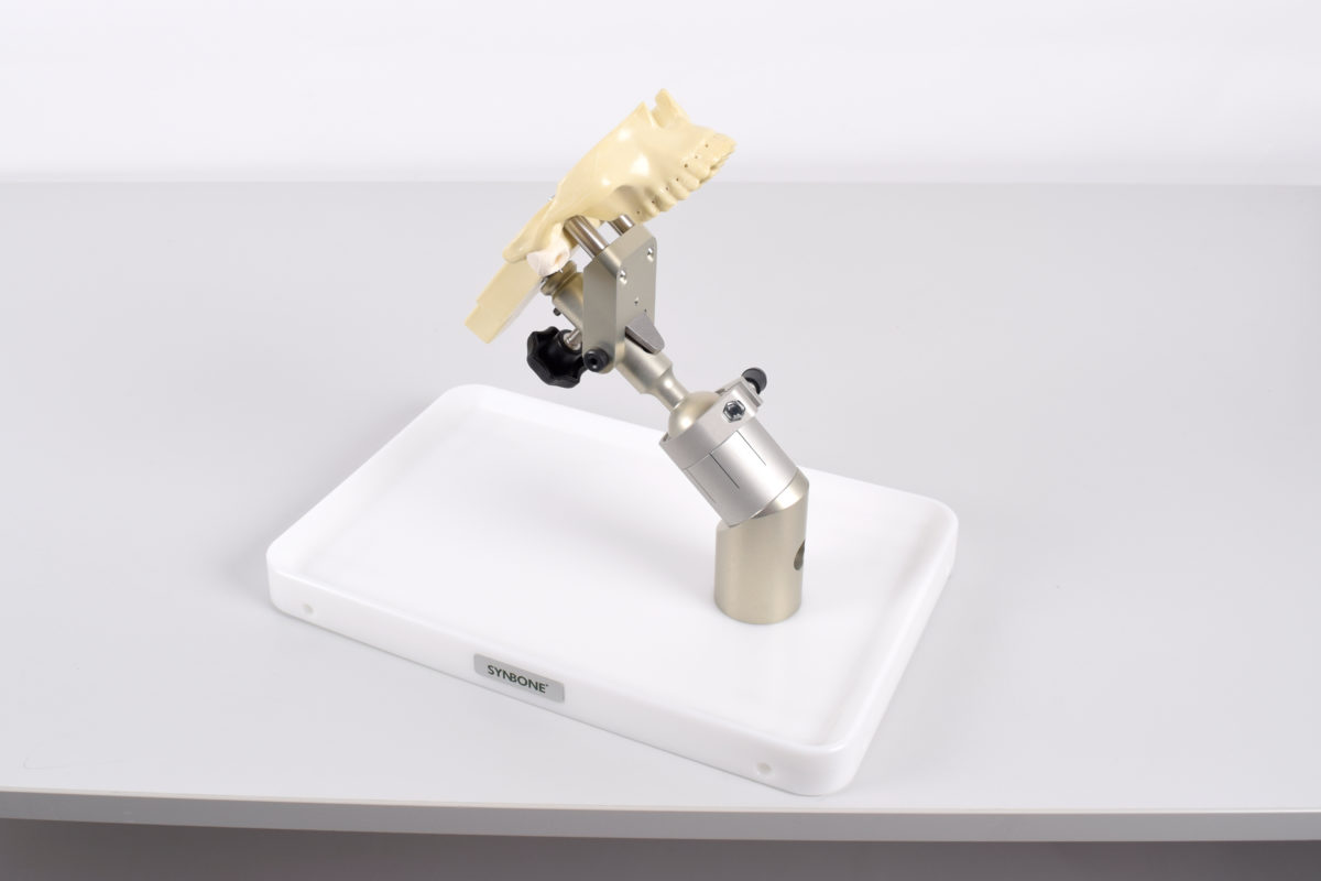 SYNBONE - Holder systems for bone models / spines models / skulls