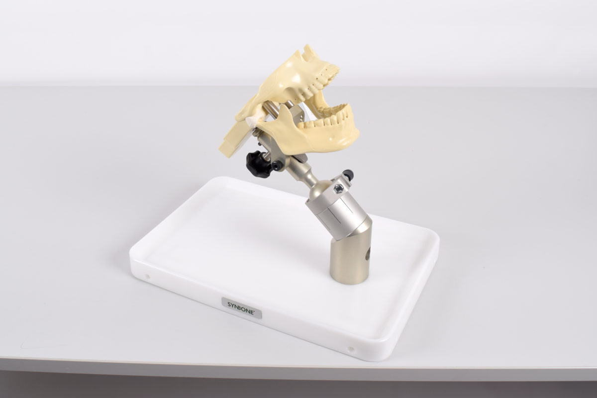 SYNBONE - Holder systems for bone models / spines models / skulls