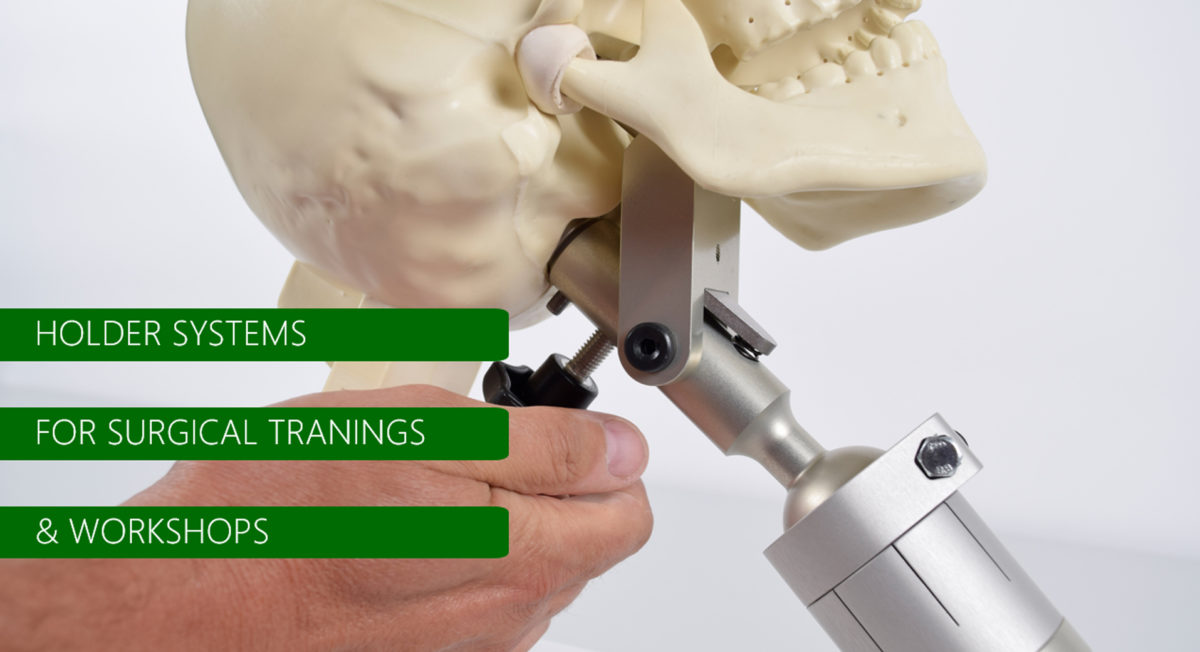 SYNBONE - Holder systems for bone models / spines models / skulls
