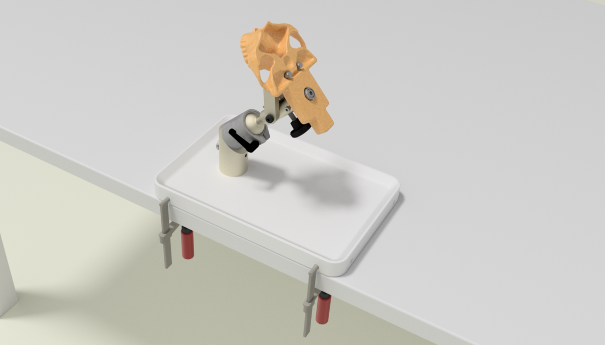 SYNBONE - Holder systems for bone models / spines models / skulls