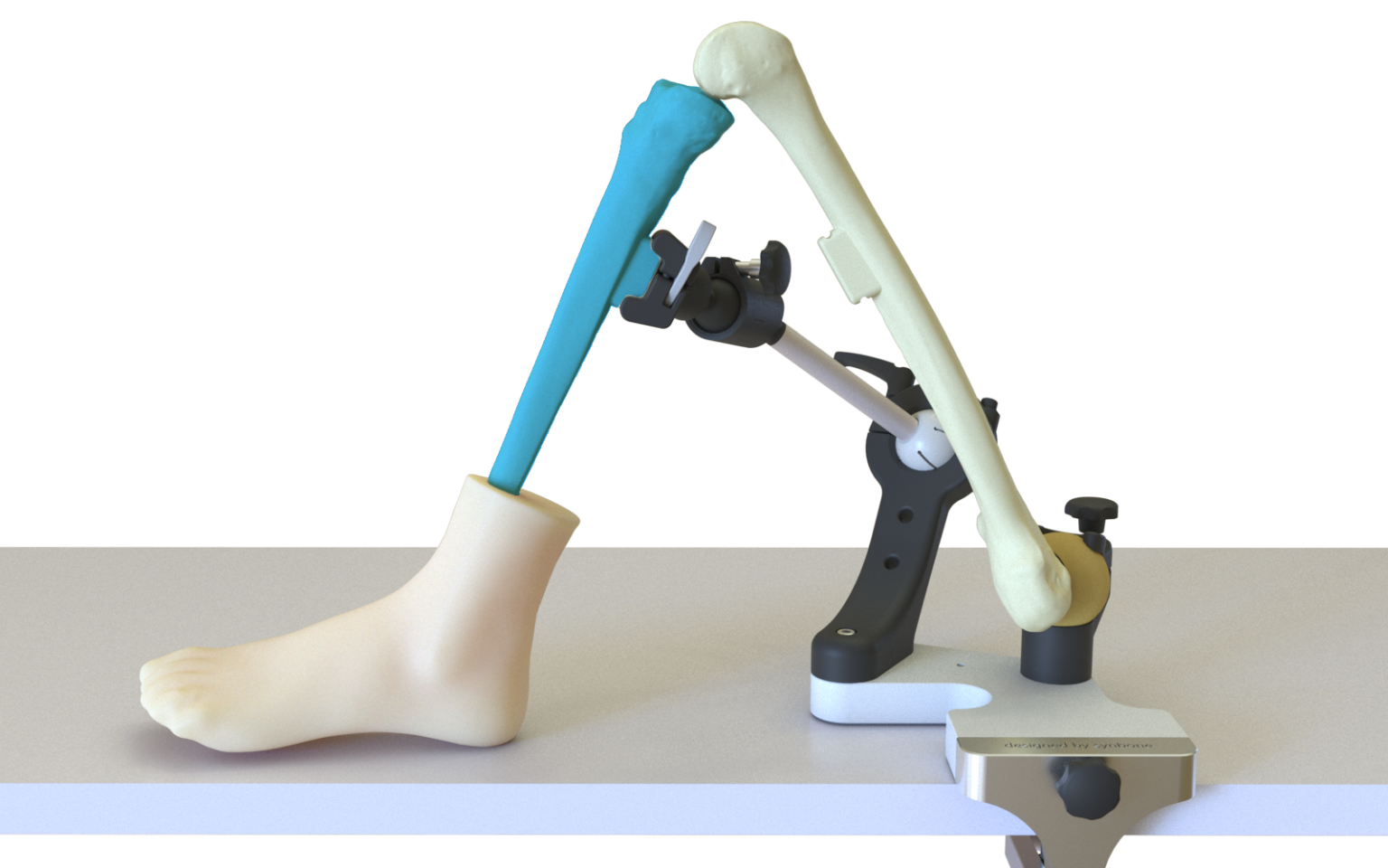 SYNBONE - Holder systems for bone models / spines models / skulls