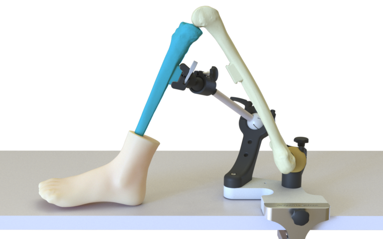 SYNBONE - Holder systems for bone models / spines models / skulls